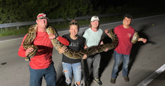 Brave Hunters Take on Behemoth Snake in Florida! | Stories Ongoing